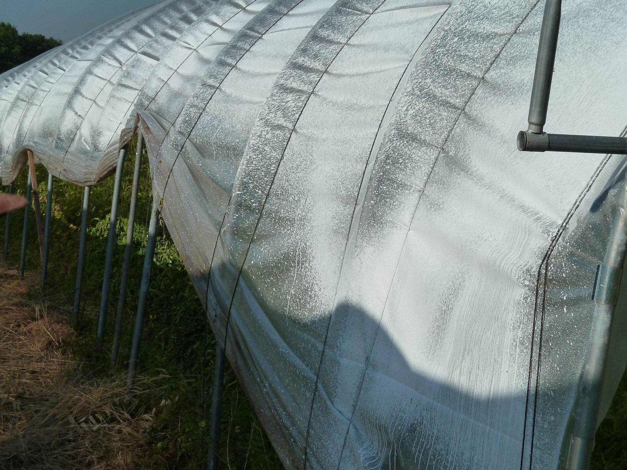 AMAP Le Petit Chaperon Vert – Légumes d'Annecy / Cran-Gevrier et autres ...